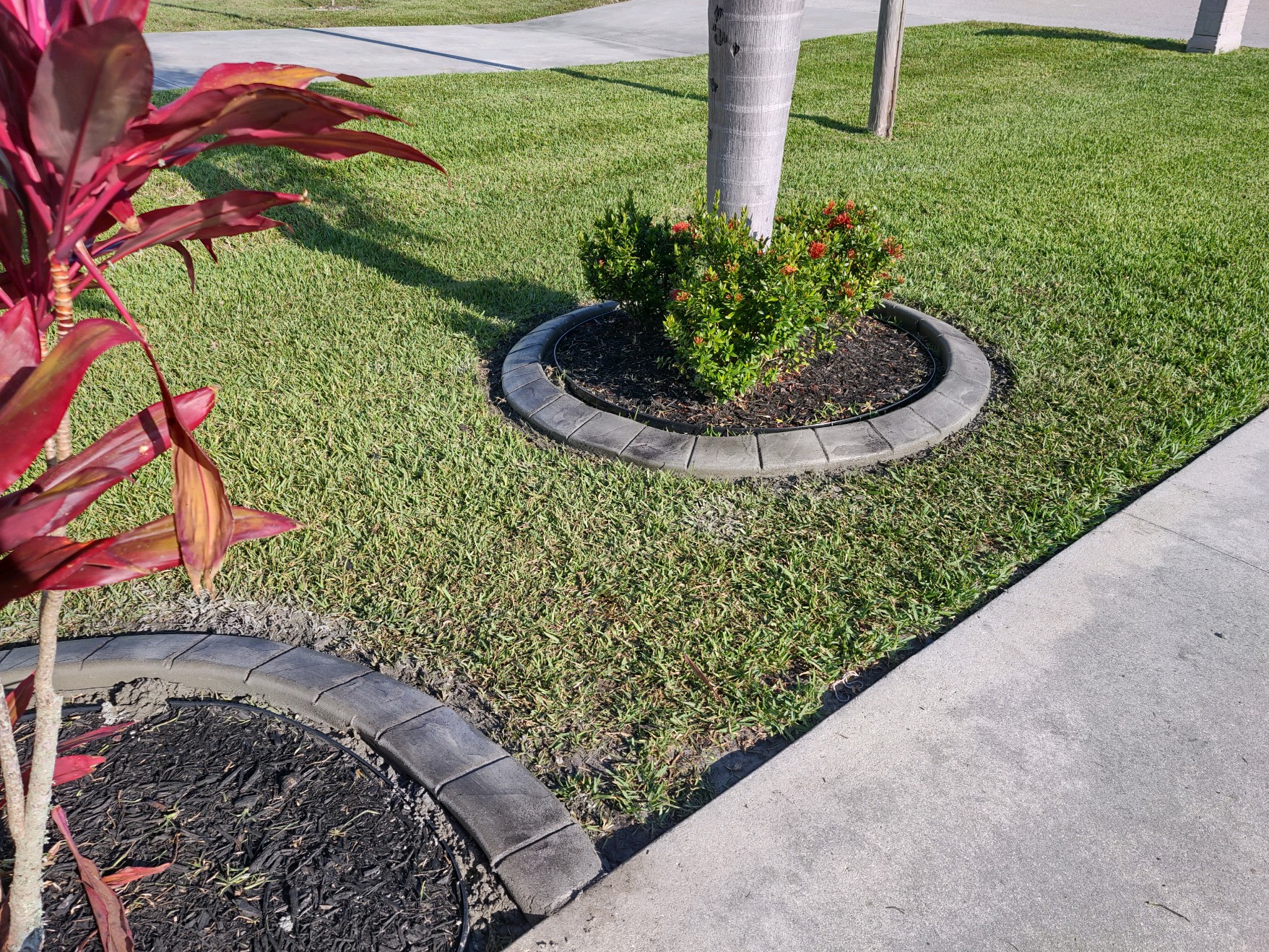 Cement Tree Circles – ProTech Curbs